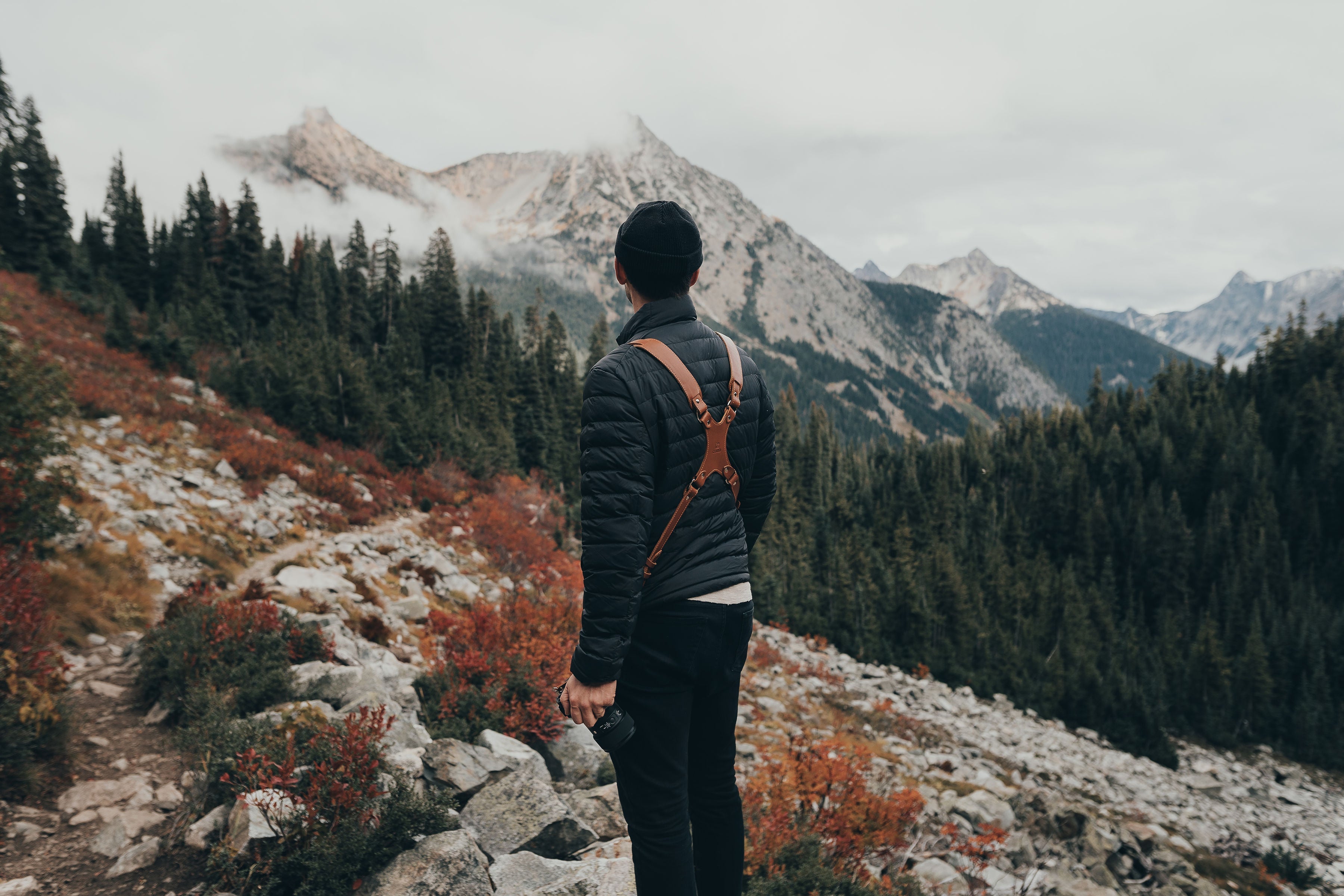 Ring Light vs. Softbox: Which Lighting Should You Choose | COIRO ...